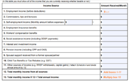 Form 13: Financial Statement - Elgin-Oxford Legal Clinic
